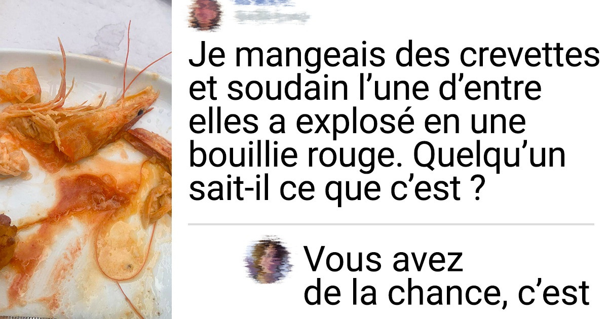 19 Personnes qui sont venues manger dans un café et qui ont obtenu du ... 19 Personnes qui sont venues manger dans un café et qui ont obtenu du ...