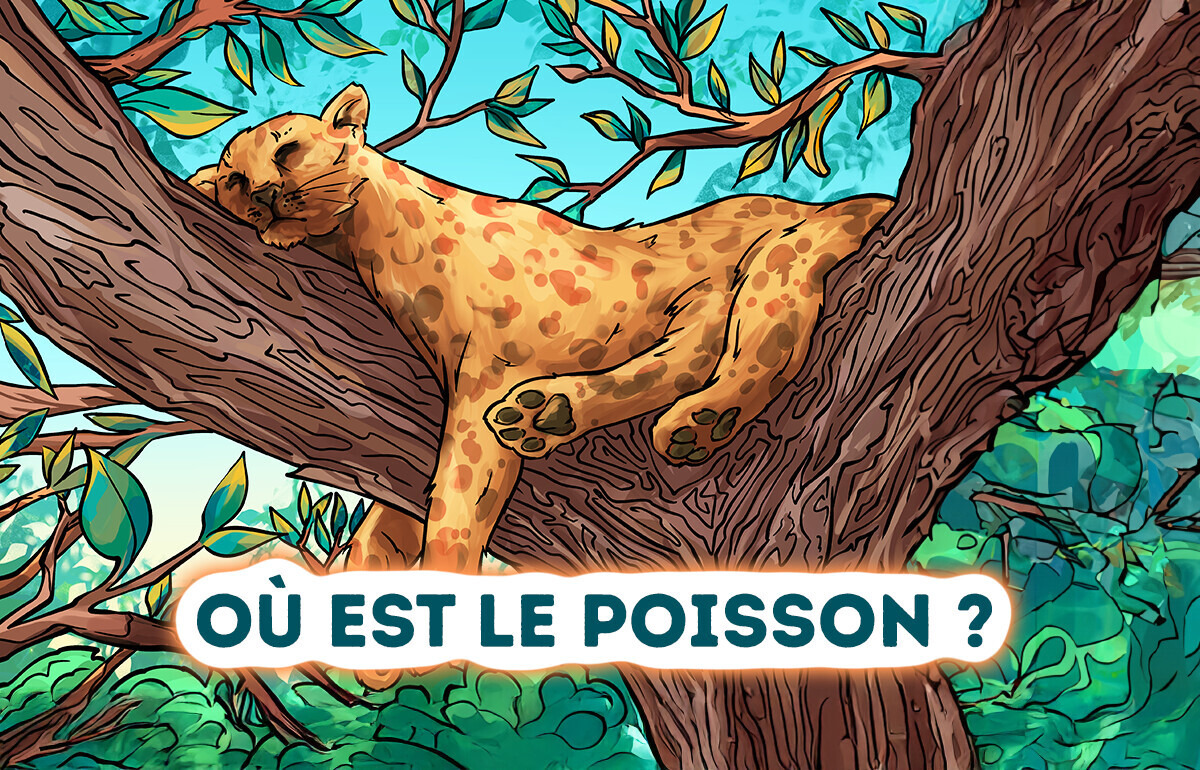 Évalue la santé de ton cerveau grâce à ces deux tests / Sympa