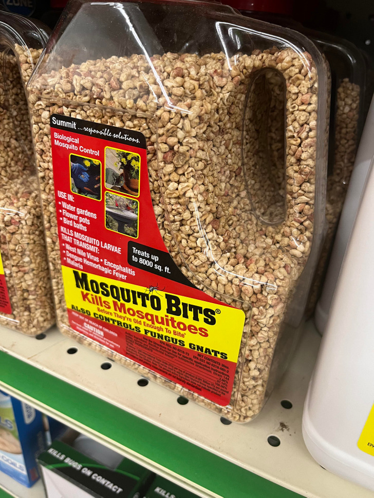 20+ Choses qui sont savoureuses pour les yeux mais certainement pas ...